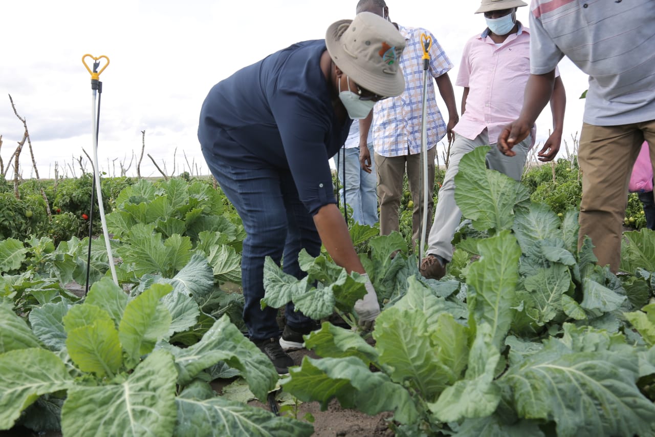 NIA inches closer to getting Sh600 million for Galana/Kulalu project ...