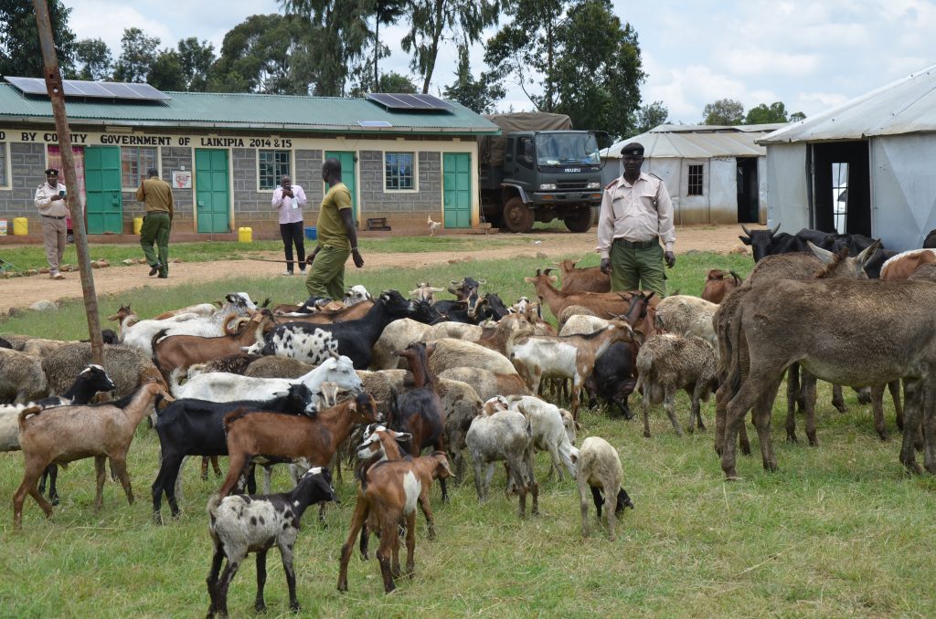 Employ home based NPR to fight cattle rustling – Kenya News Agency