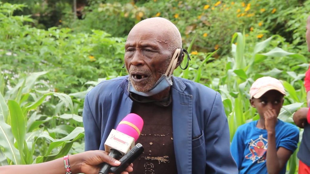 Stray dogs invade villages in Murang’a – Kenya News Agency