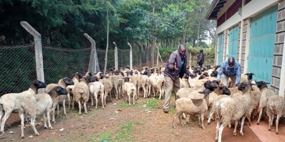 Farmers encouraged to venture into high value cash crops – Kenya News ...