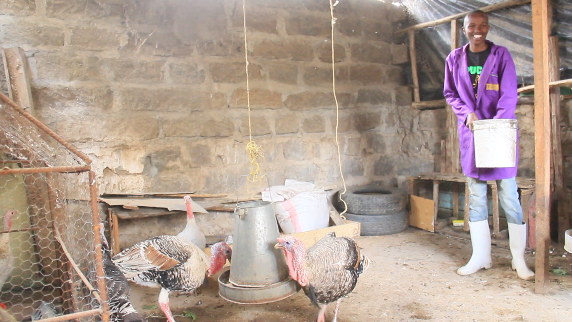 Nakuru youth makes a living by keeping ornamental birds – Kenya News Agency
