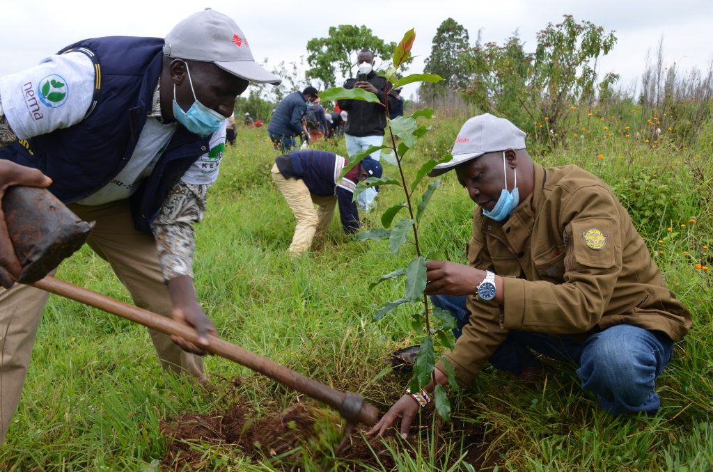 Commissioner Achoki leads Narok residents in trees planting exercise – Kenya News Agency