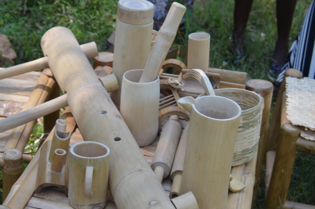 Forestry experts advocate for Bamboo farming – Kenya News Agency