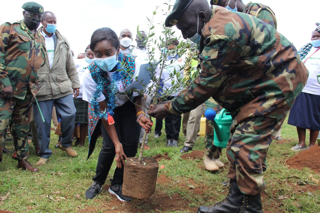 CAS ICT leads a tree planting exercise – KNA