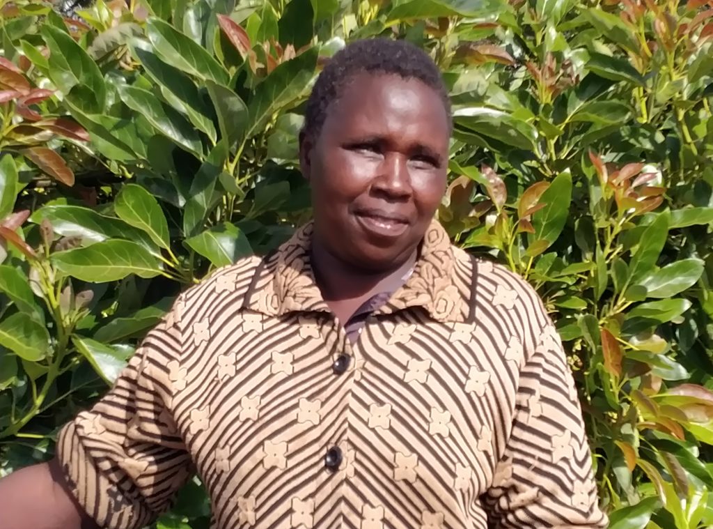 Farmers diversification in crop production boost income – Kenya News Agency