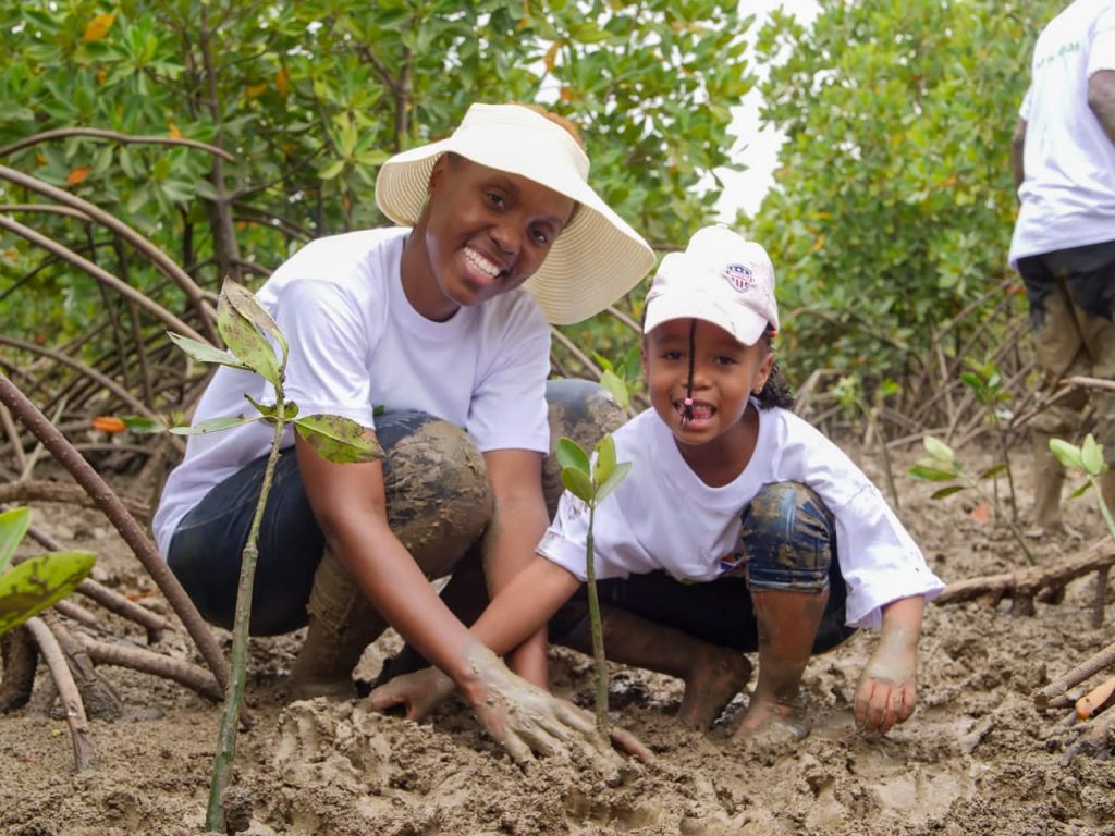 FAO supports initiative for mangrove ecosystems restoration – KNA