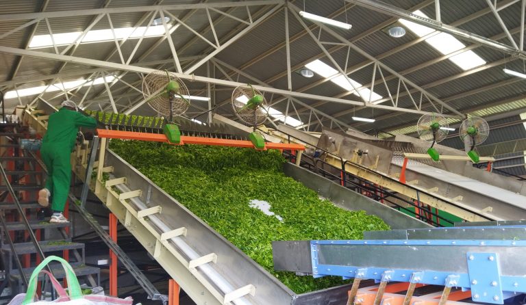 Gov’t opens Matunwa Tea factory in Nyamira – Kenya News Agency