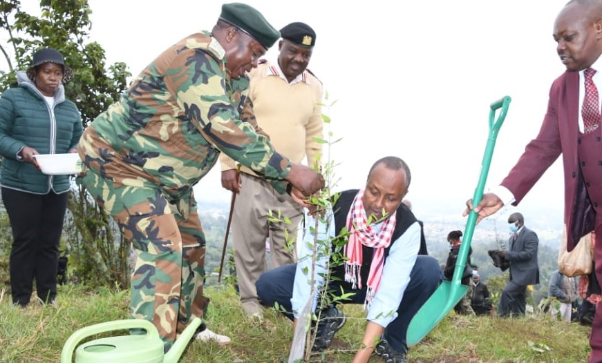 Kenya marks APS day by planting 1000 trees – Kenya News Agency