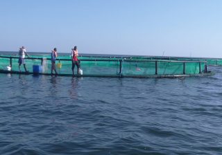 Meru – Kenya News Agency