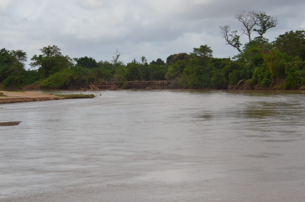 Farmers making losses as River Tana changes course – KNA