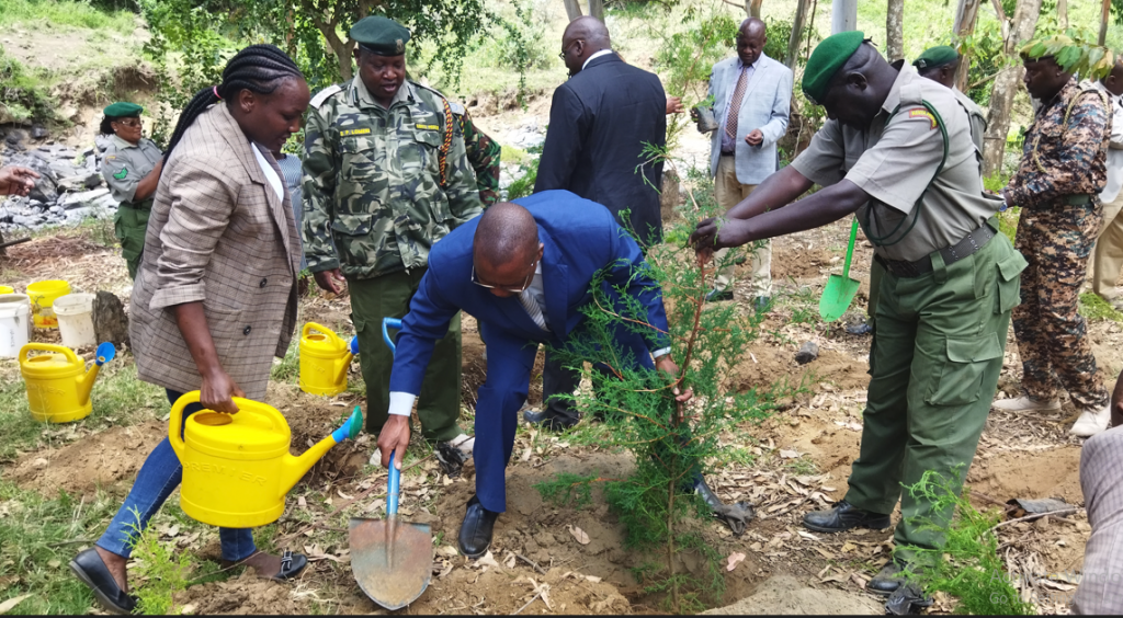 Officers plant 1, 000 trees at Narok GK prison – Kenya News Agency