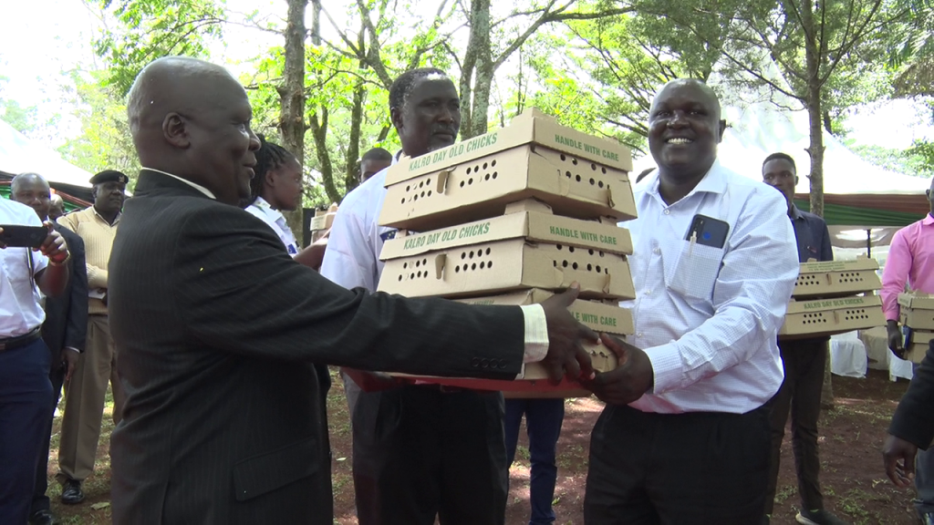 KALRO unveils improved Chicken breeds – Kenya News Agency
