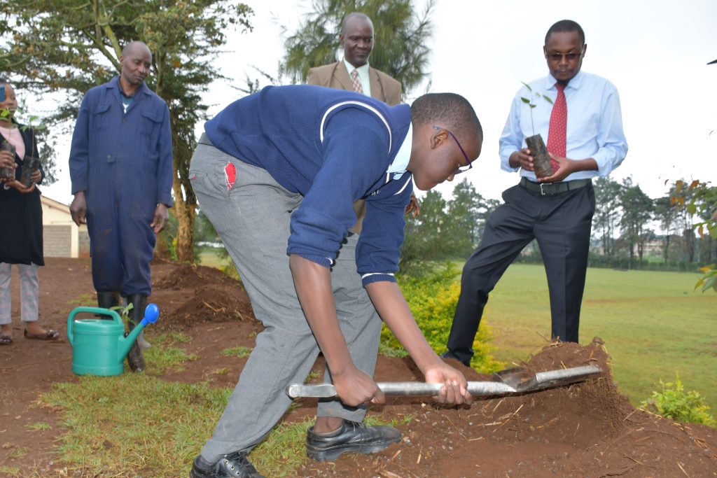 Kiambu Schools receive tree seedlings – KNA
