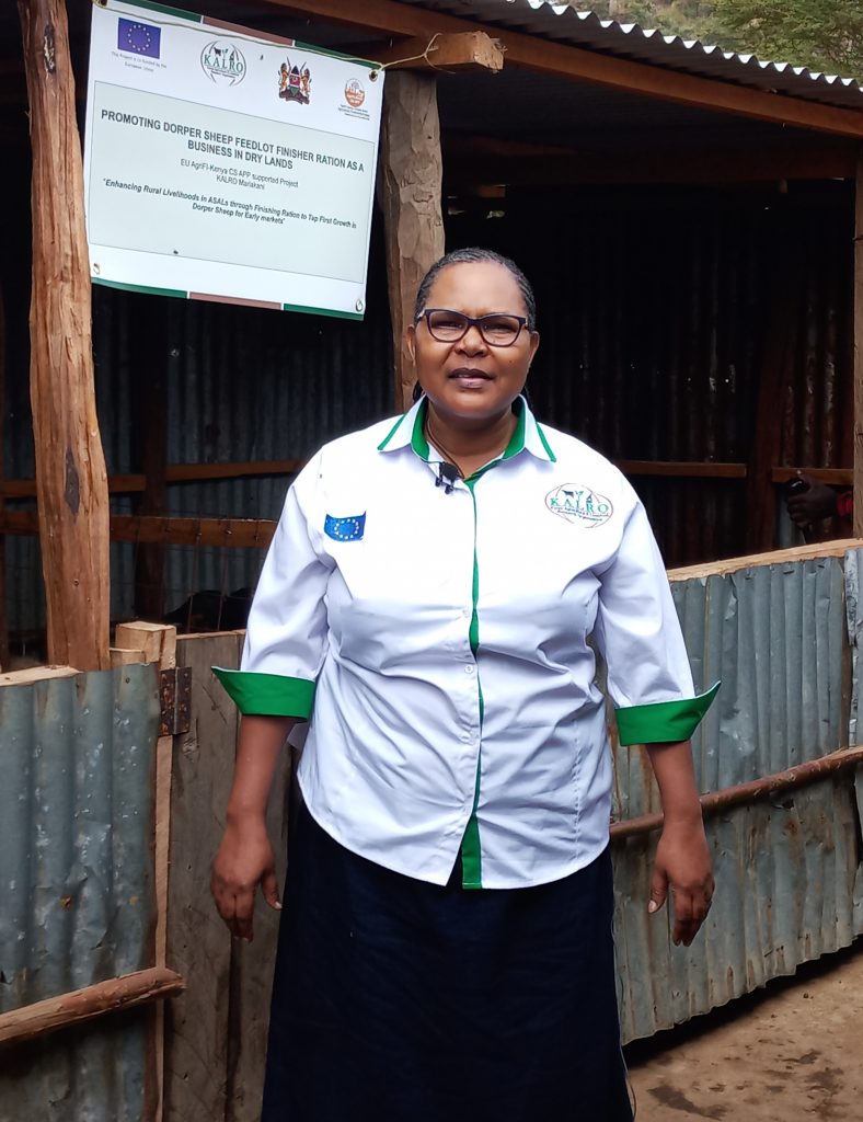 KALRO Experts Develop ‘Smart’ Sheep Rearing Technology – Kenya News Agency