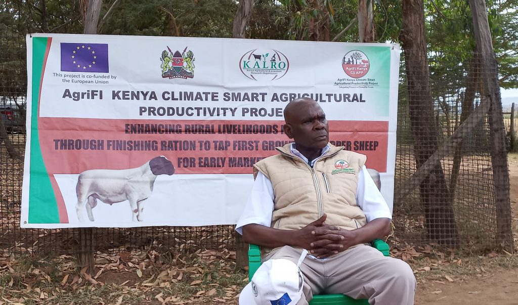 KALRO Experts Develop ‘Smart’ Sheep Rearing Technology – Kenya News Agency