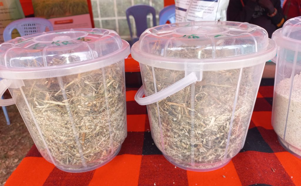 KALRO Experts Develop ‘Smart’ Sheep Rearing Technology – Kenya News Agency