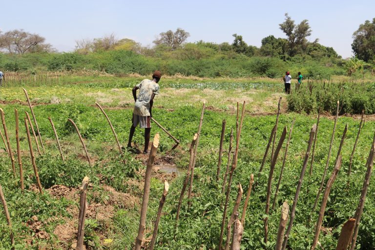 Organization changing lives through farming – Kenya News Agency