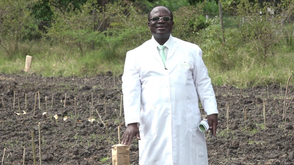 From nursing to farming: Diabetic condition triggers profitable finger ...