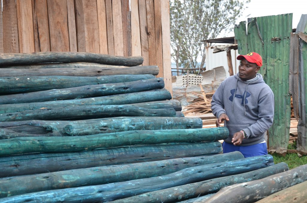 Saw millers and carpenters laud State for lifting logging ban – Kenya ...