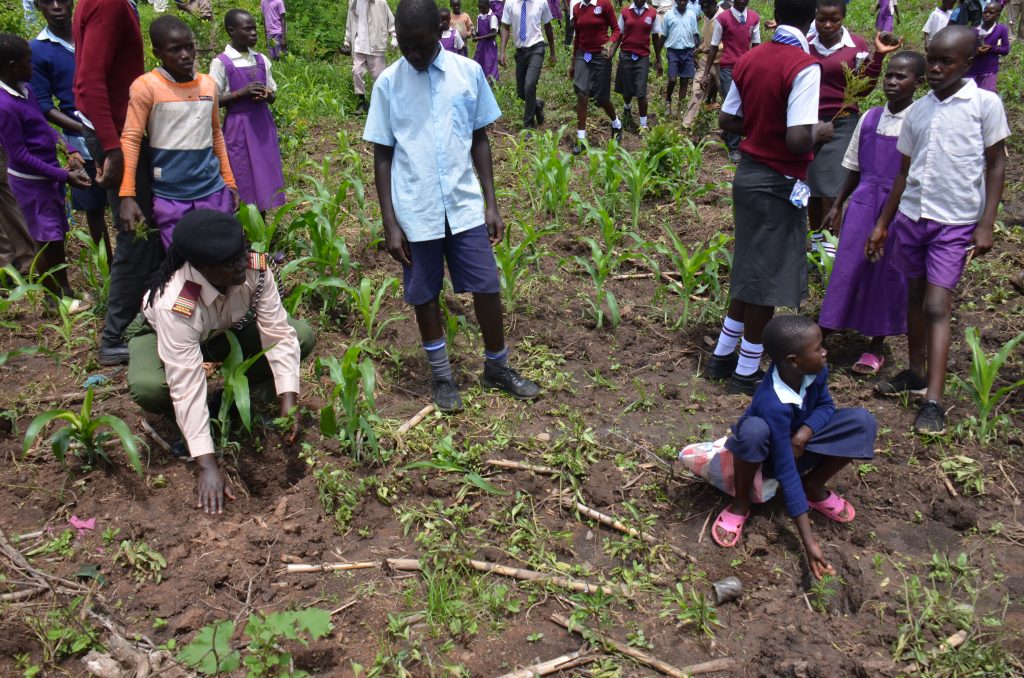 Migori residents urged to plant indigenous trees to maintain forest ...