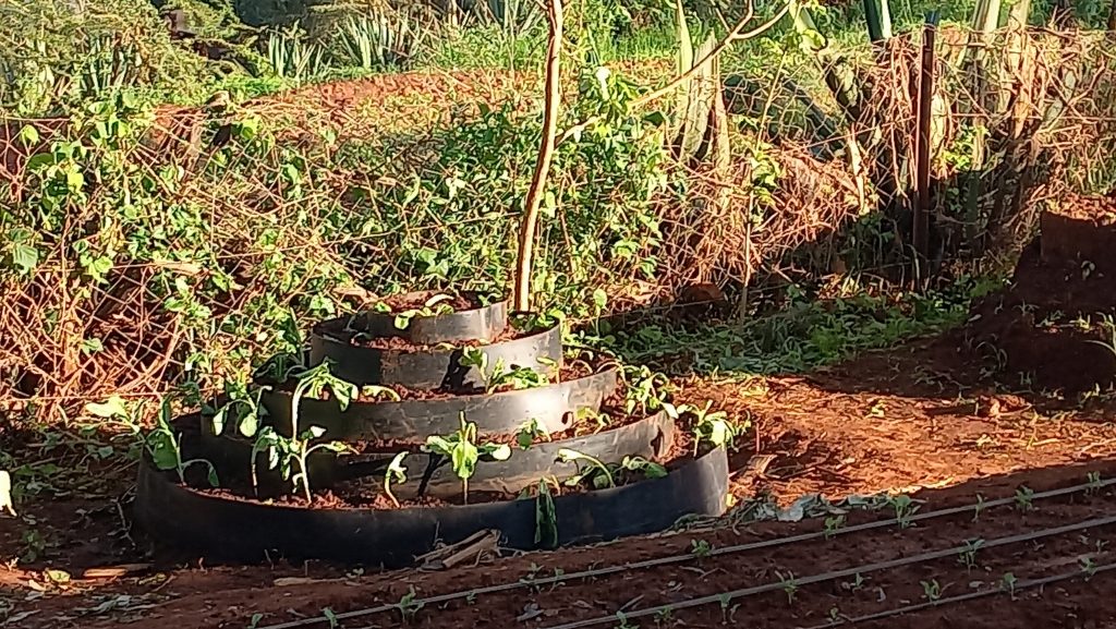 Farmers tipped on Climate Smart Agriculture technologies – Kenya News ...