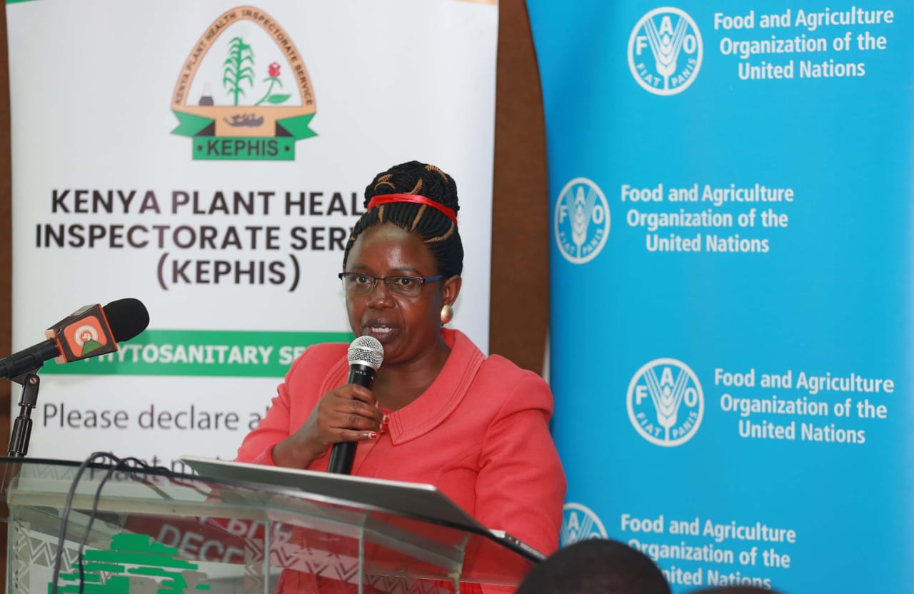 KEPHIS concludes assessment of National Plant Health Systems. – Kenya News Agency