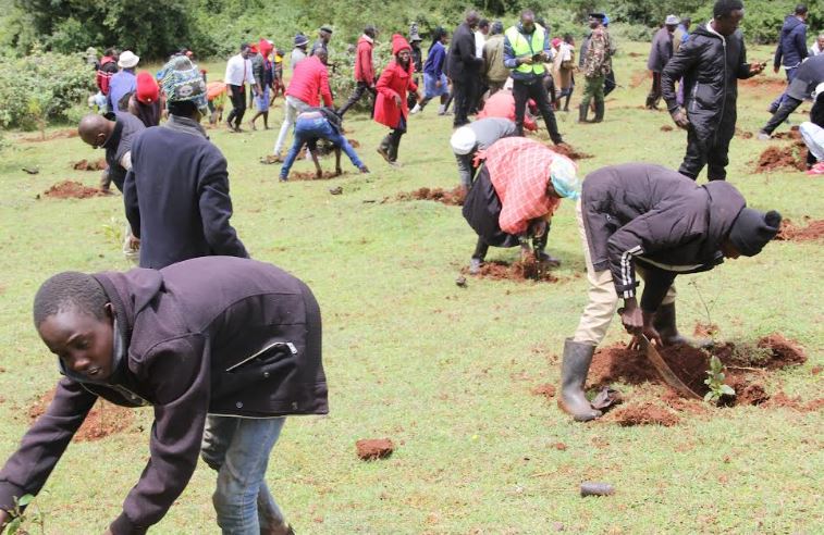 Embrace tree planting to combat climate change—Kenyans – Kenya News Agency