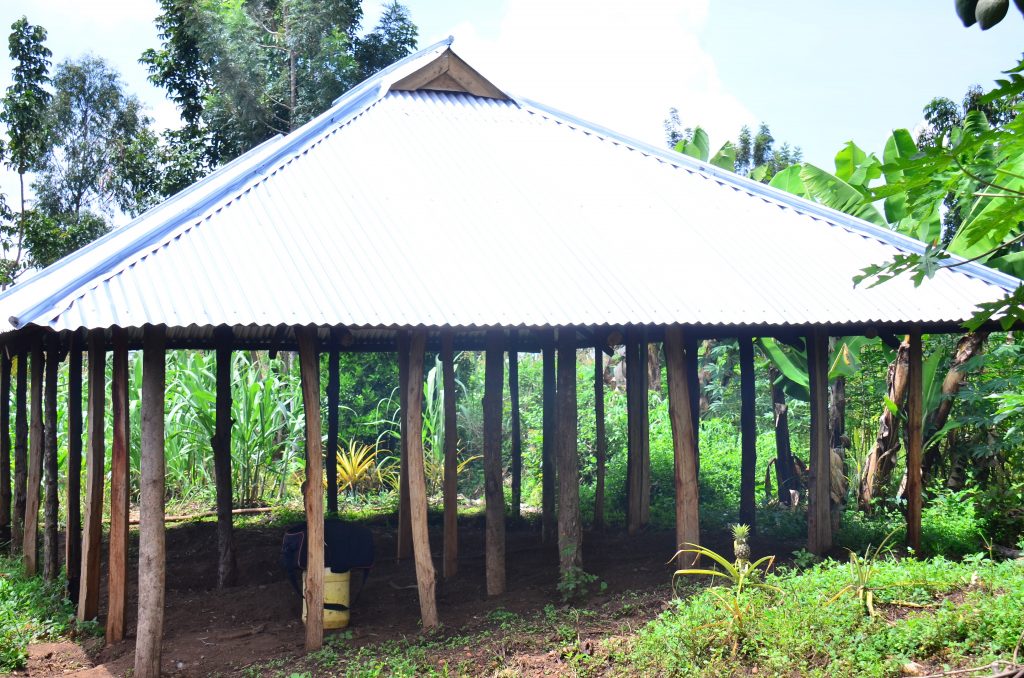 Teacher transforming lives of the less privileged in Kuria – Kenya News ...