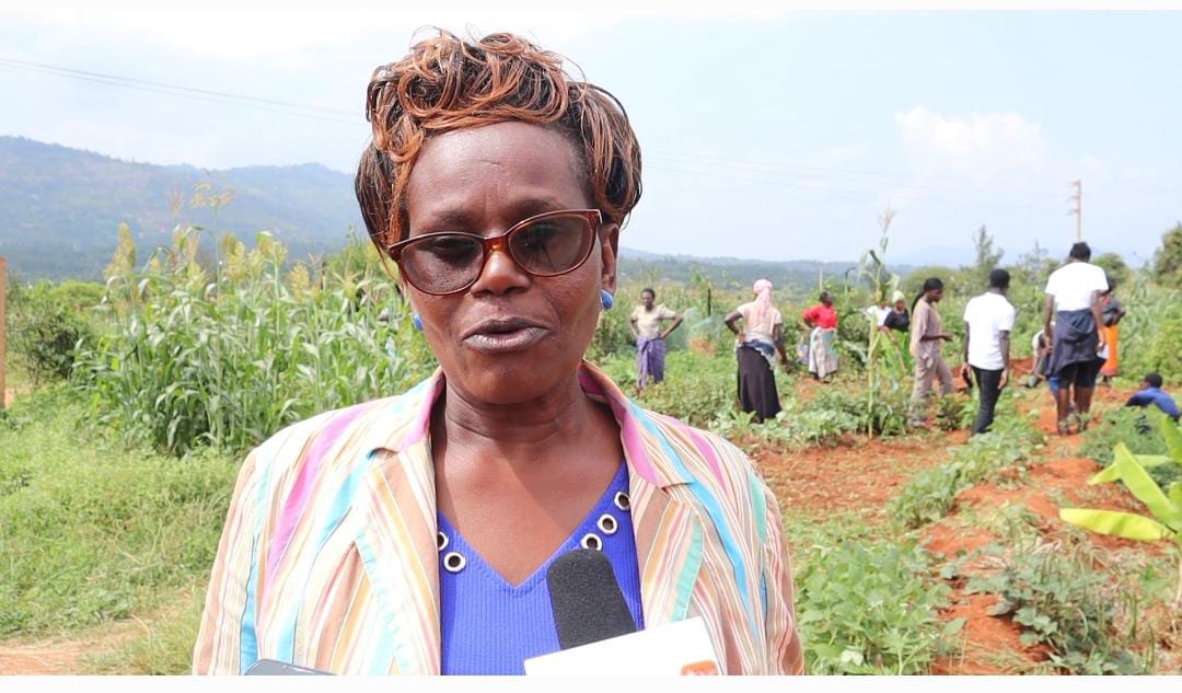 4k Club in schools using carbon beds to fighting Climate change – Kenya ...