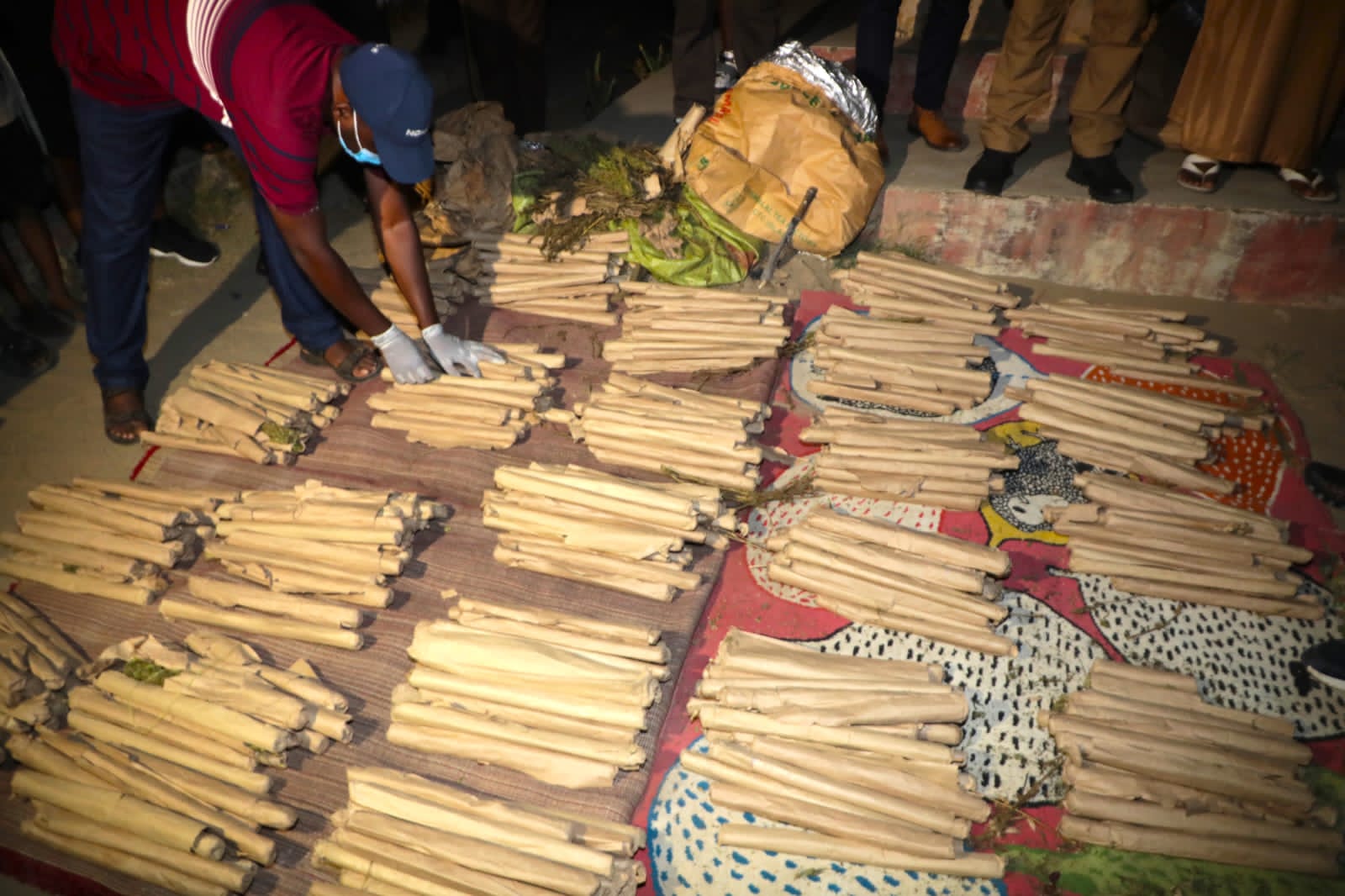 NACADA: Use of bhang among Kenyans increased by 90pc – Kenya News Agency