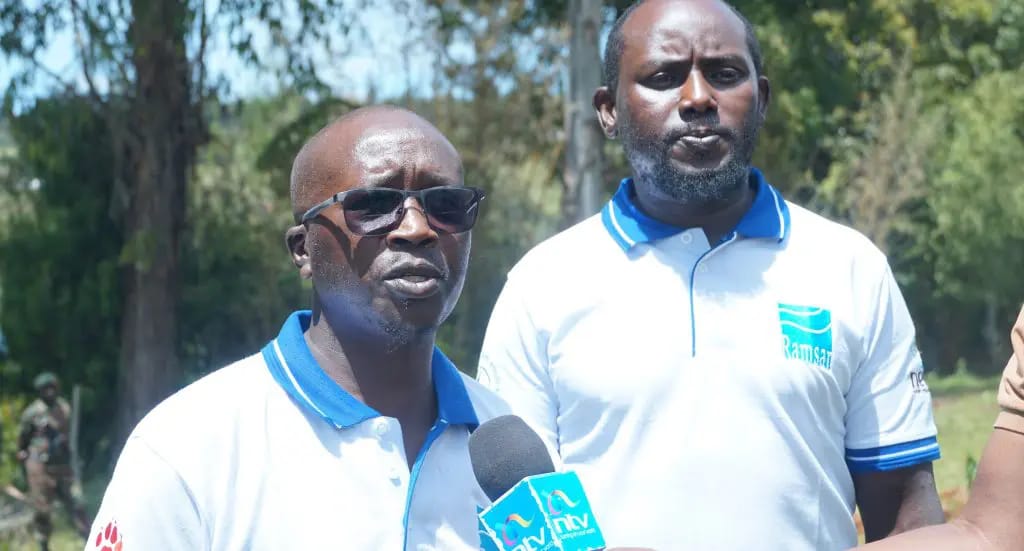 ICF on a mission to save endangered birds – Kenya News Agency