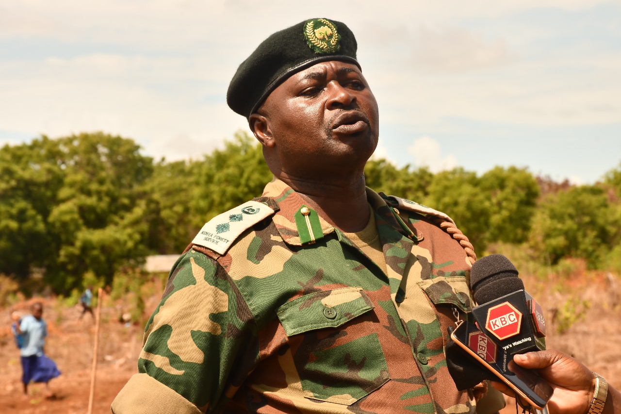 Kenya Forest Service has pledged to enhance tree cover in arid regions ...