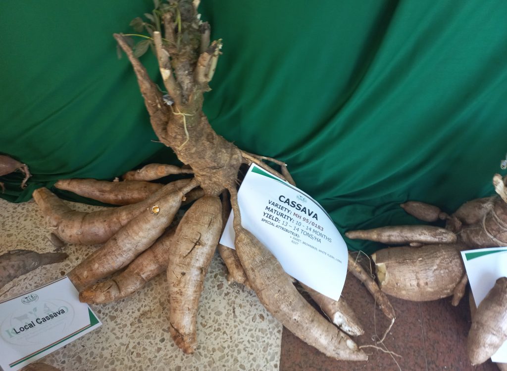 KEPHIS opens laboratory for Roots and Tuber crops production – Kenya ...