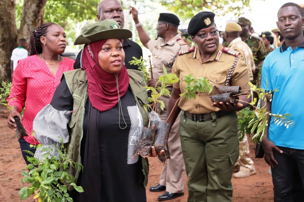 Kwale plants 20,000 trees during Tree-Planting Holiday – Kenya News Agency