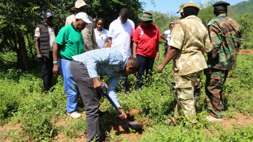 Govt takes tree planting campaign to Mumoni Hills Forest – Kenya News ...