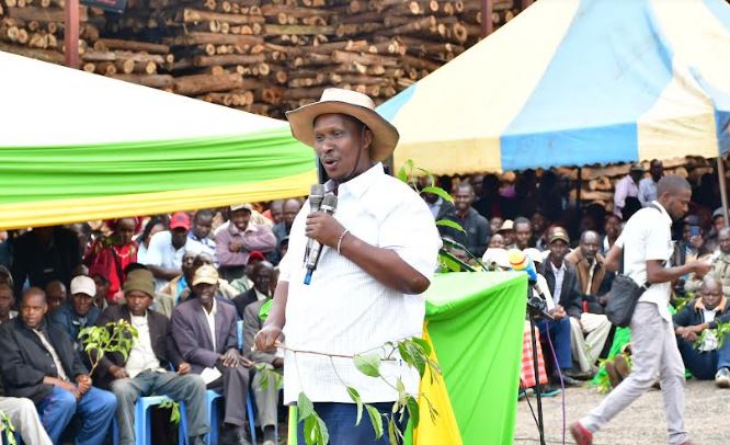 PS Rono directs Tea Board to audit KTDA finances, assets – Kenya News ...