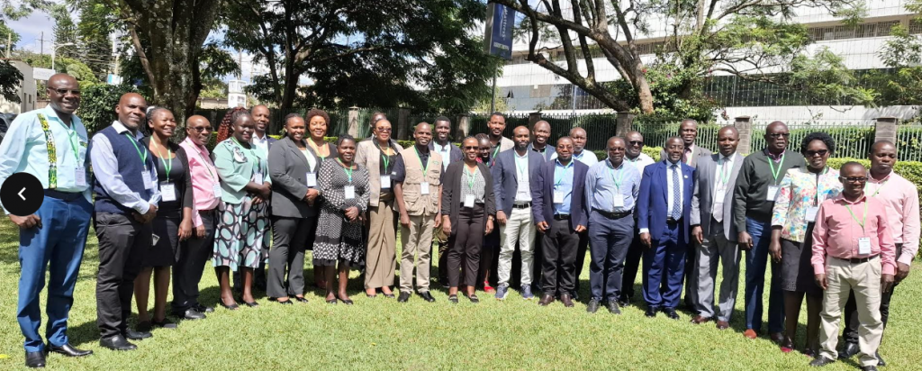 Review policies in EAC region to address banana pests and diseases ...
